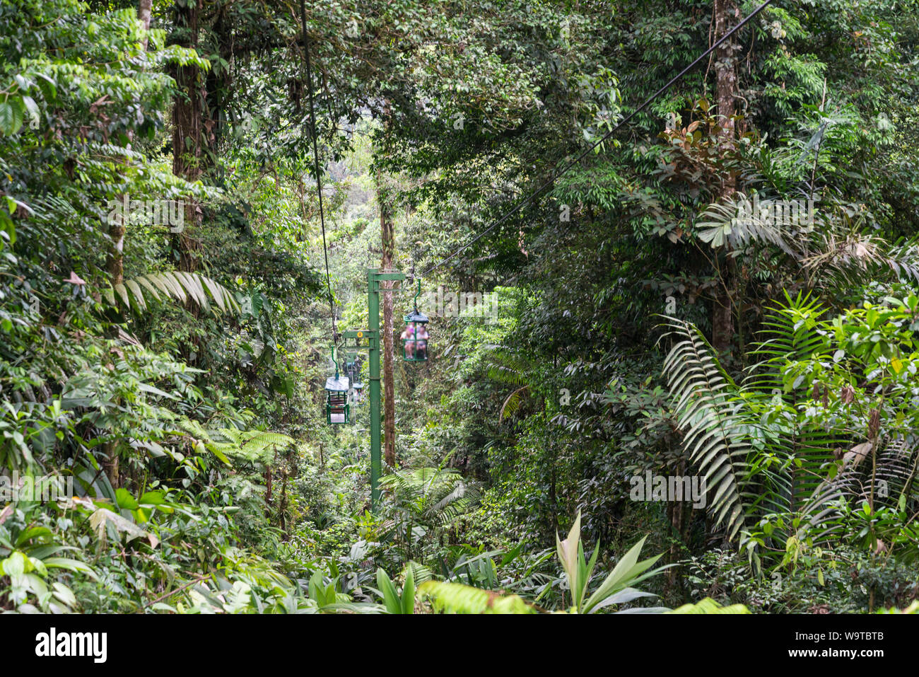 Cable car in Costa Rica forest Stock Photo - Alamy