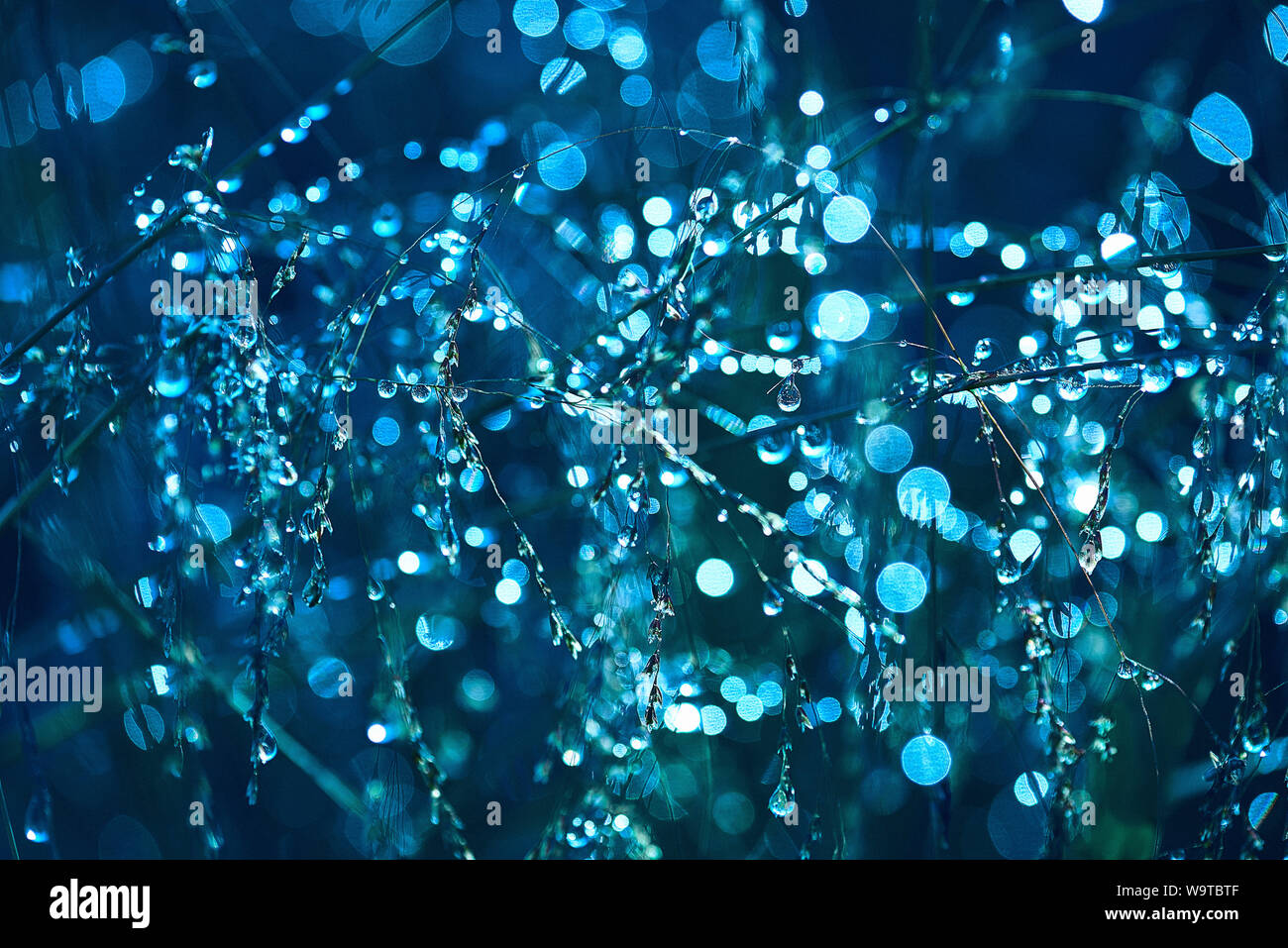 Horizontal water hi-res stock photography and images - Alamy