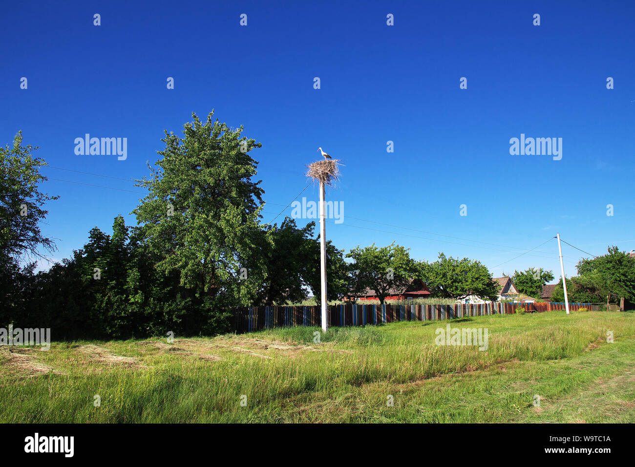 The Stork's Nest in Belarus Stock Photo - Alamy