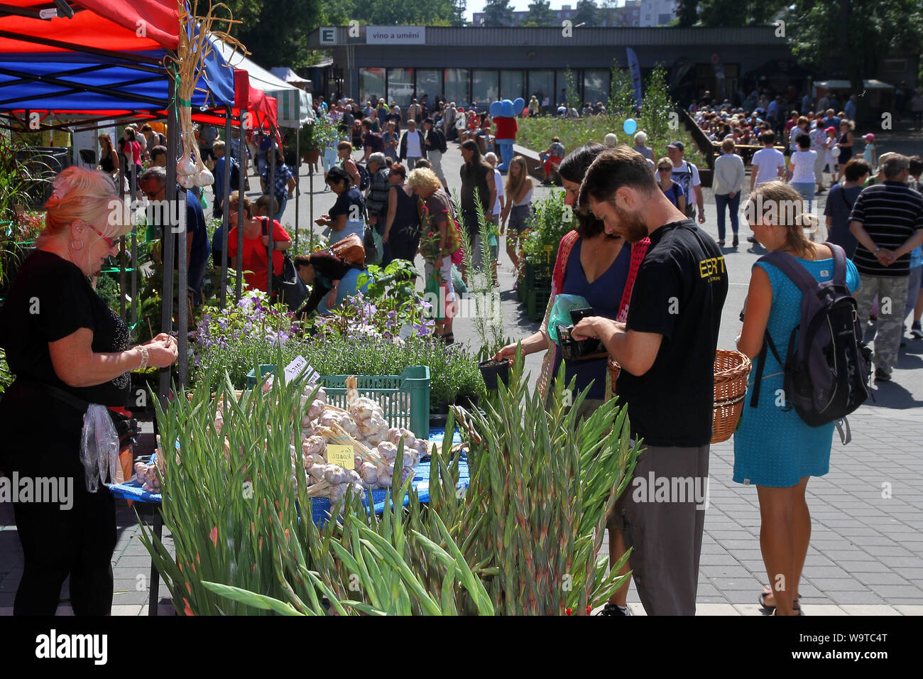 Summer programme hi-res stock photography and images - Alamy