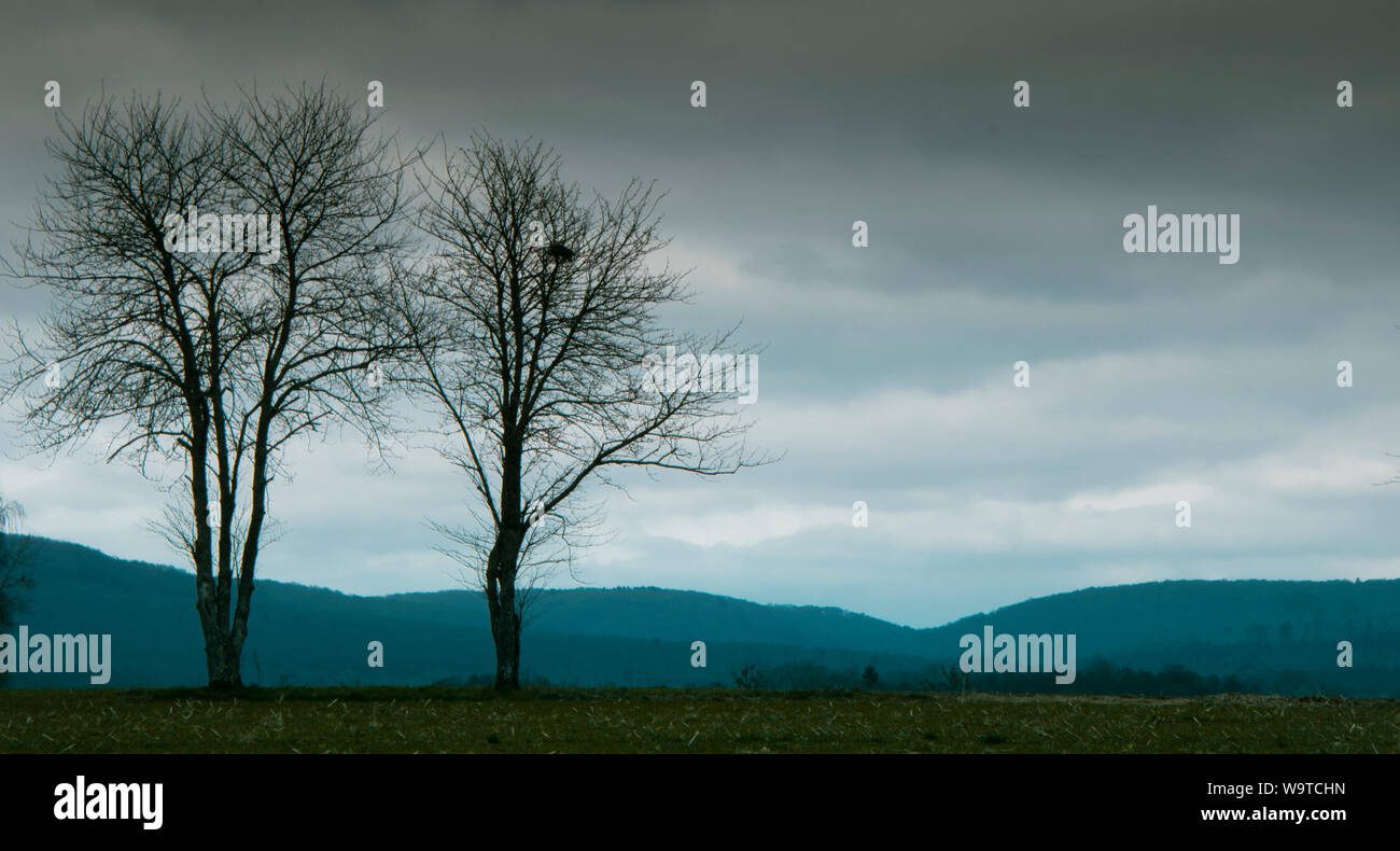 Leave less trees hi-res stock photography and images - Alamy