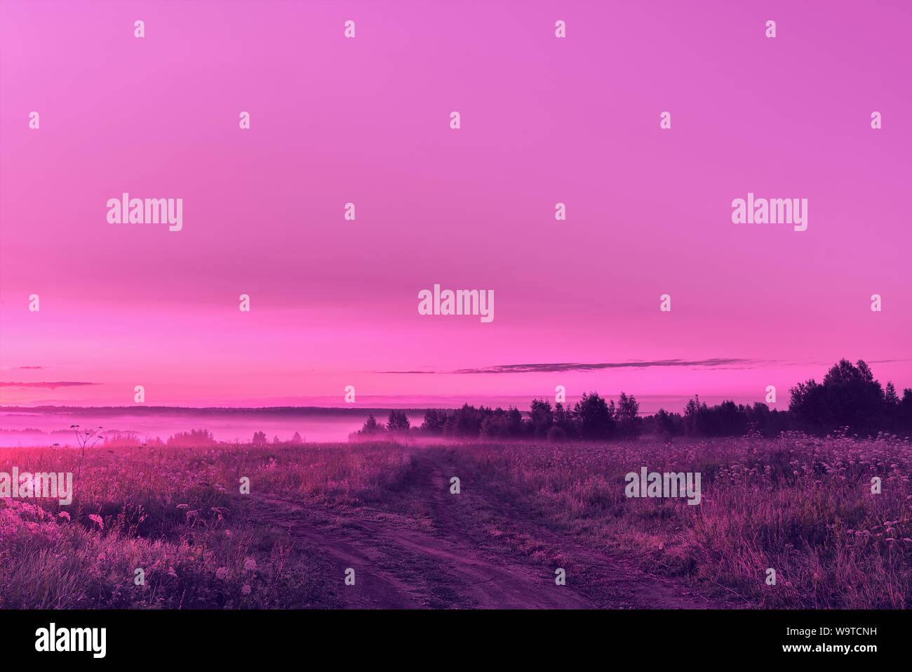 Purple sunrise hi-res stock photography and images - Alamy