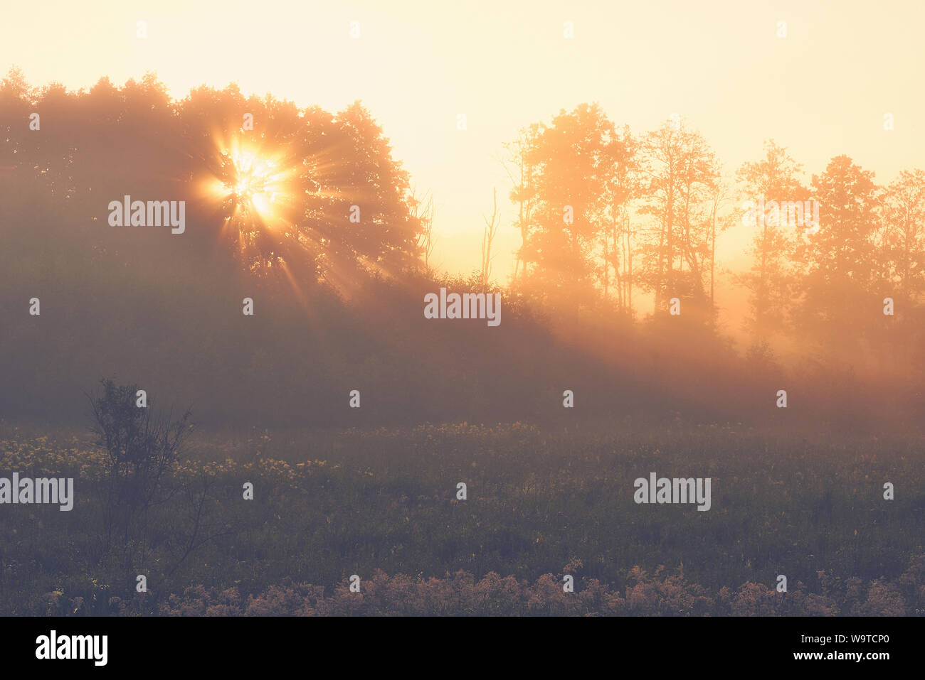 Background travel wallpaper hi-res stock photography and images - Alamy