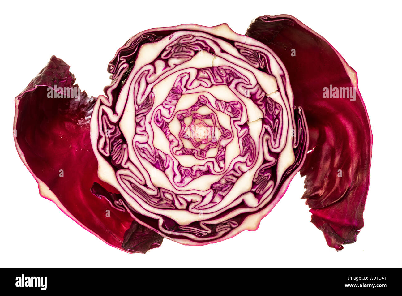Red cabbage (Brassica oleracea) cutted. Isolated on white background ...