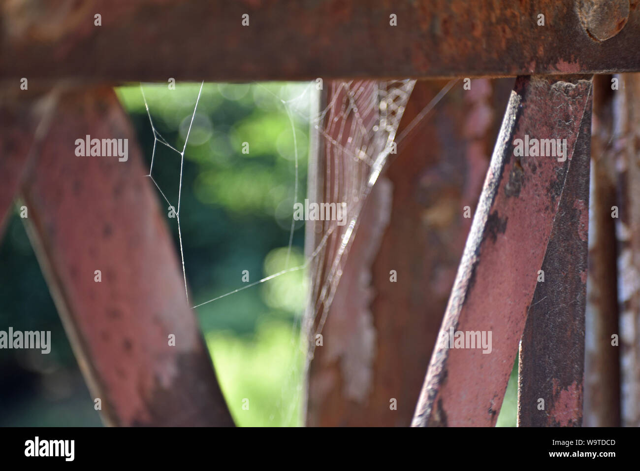 Spider on Steel Beam Stock Photo - Alamy