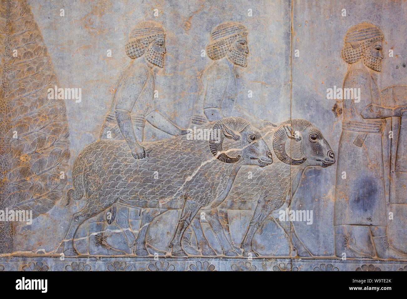 Achaemenid relief unesco apadana hi-res stock photography and images ...