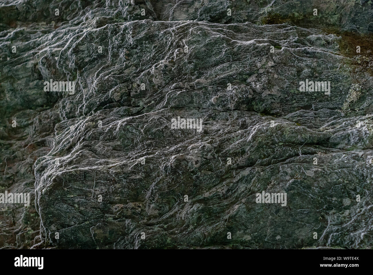 background, texture - rough surface of natural old rock, covered with ...