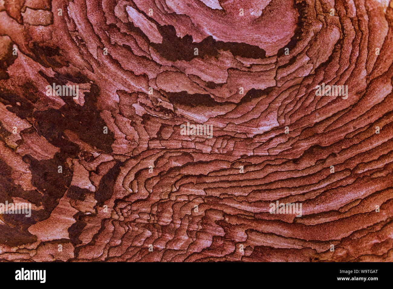 Close-up of sandstone in the desert, Riyadh, Saudi Arabia Stock Photo ...
