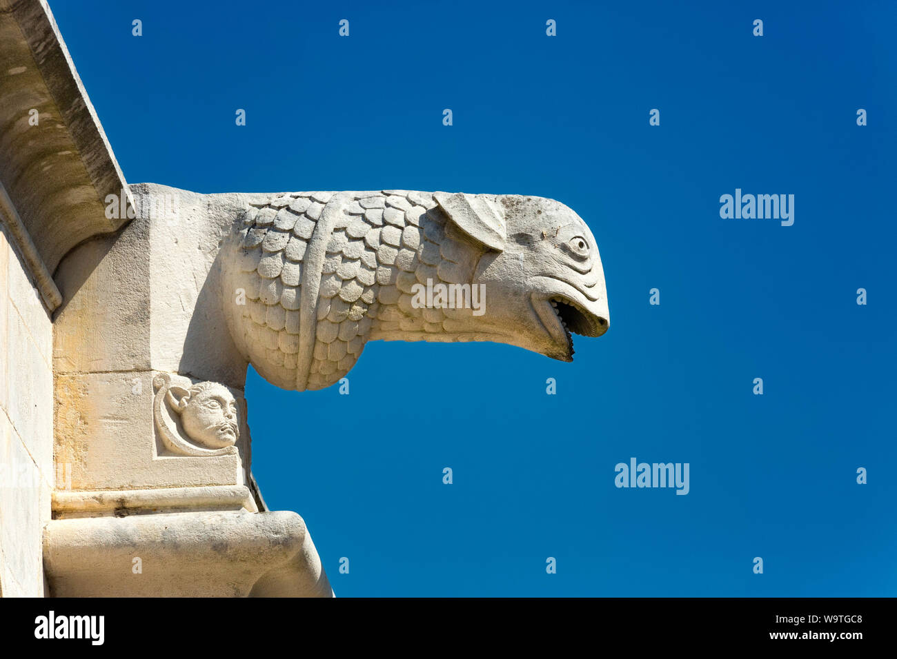 A fishy(?) gargoyle one of the many well restored ones around the main ...