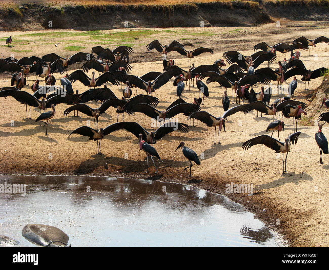 Katuma river hi-res stock photography and images - Alamy