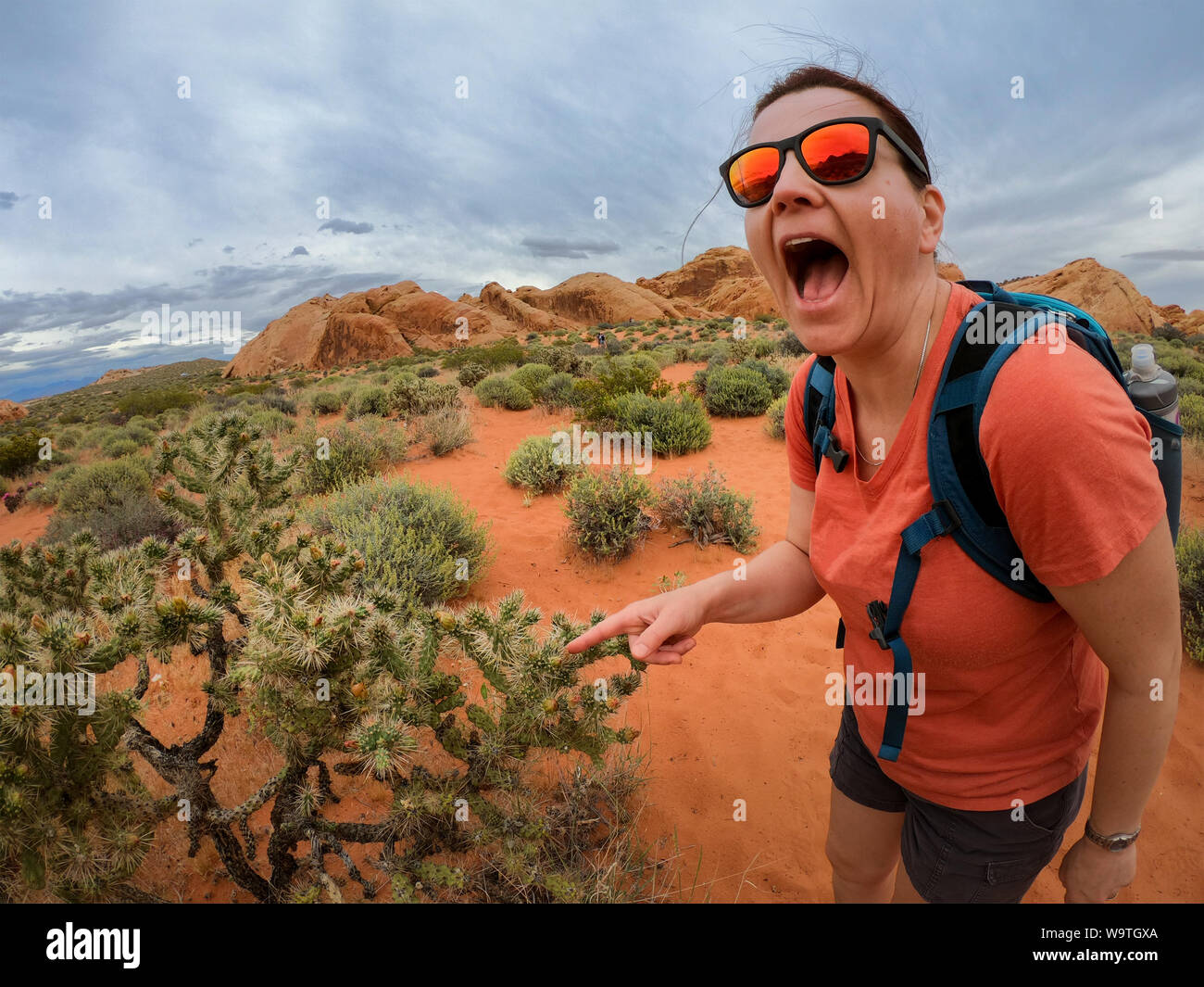 Woman touching a cactus and screaming, Valley of Fire State Park ...