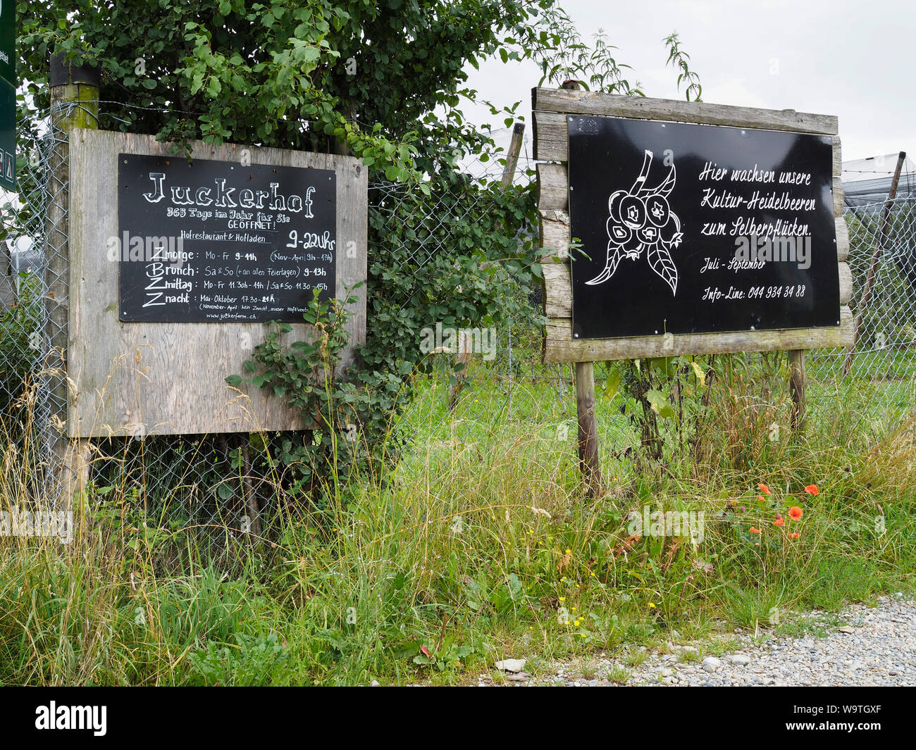 Juckerhof in Seegräben ZH Schweiz Europa Stock Photo - Alamy