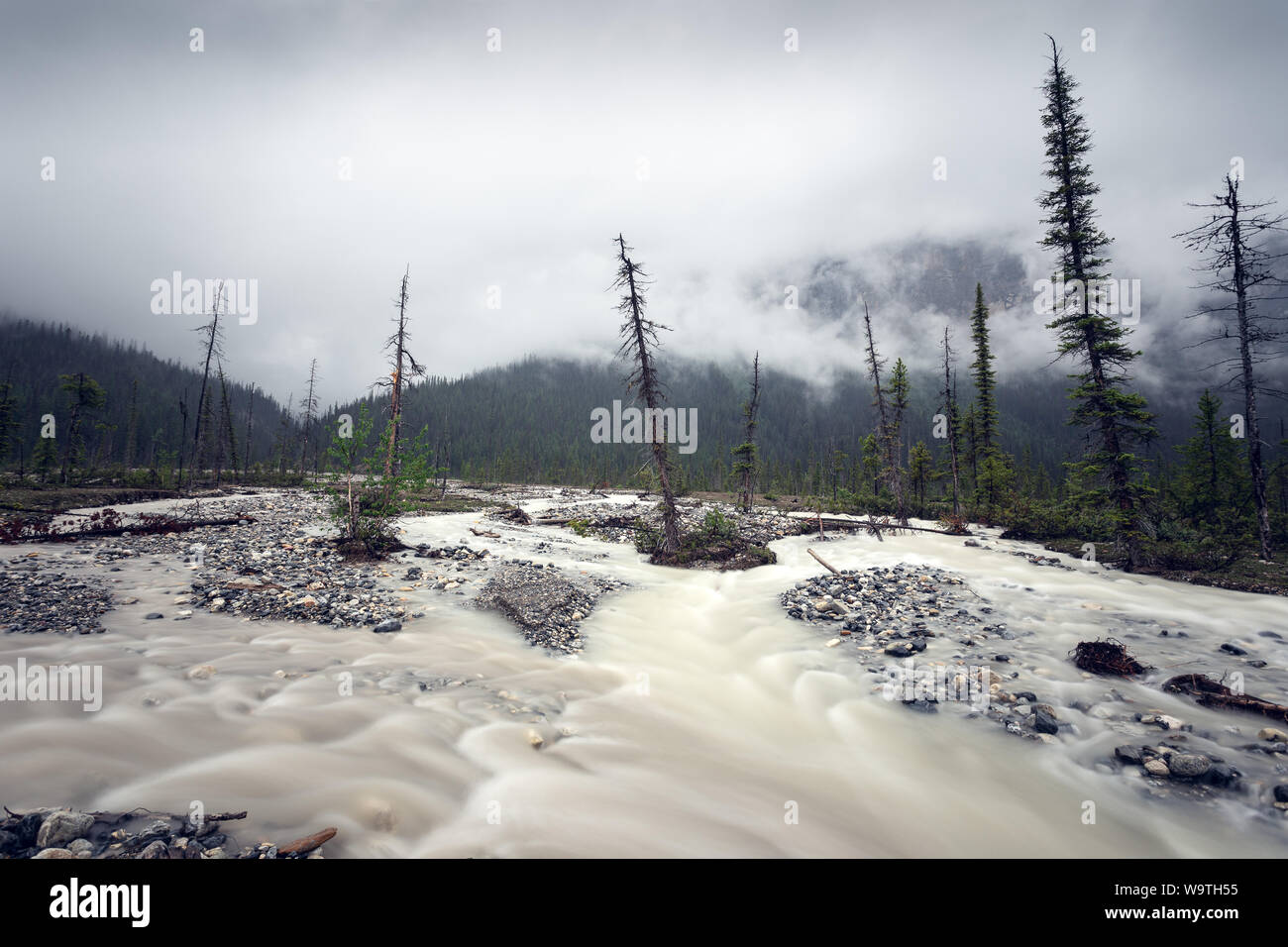 Canada river forest and sparse hi-res stock photography and images - Alamy