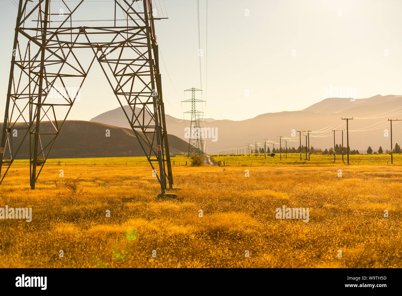 Electricity pylons in the countryside, South Island, New Zealand Stock ...