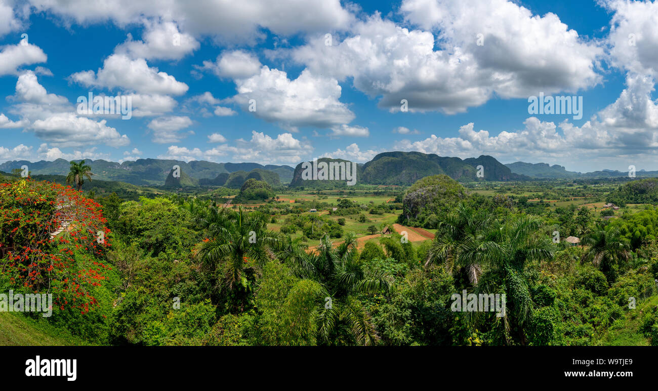 Field tobacco in viñales hi-res stock photography and images - Alamy