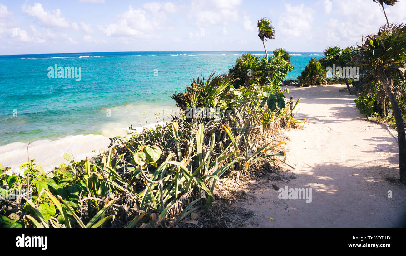 Hiking trail at the Maya ruins in Tulum, Yucatan, Mexico Stock Photo ...