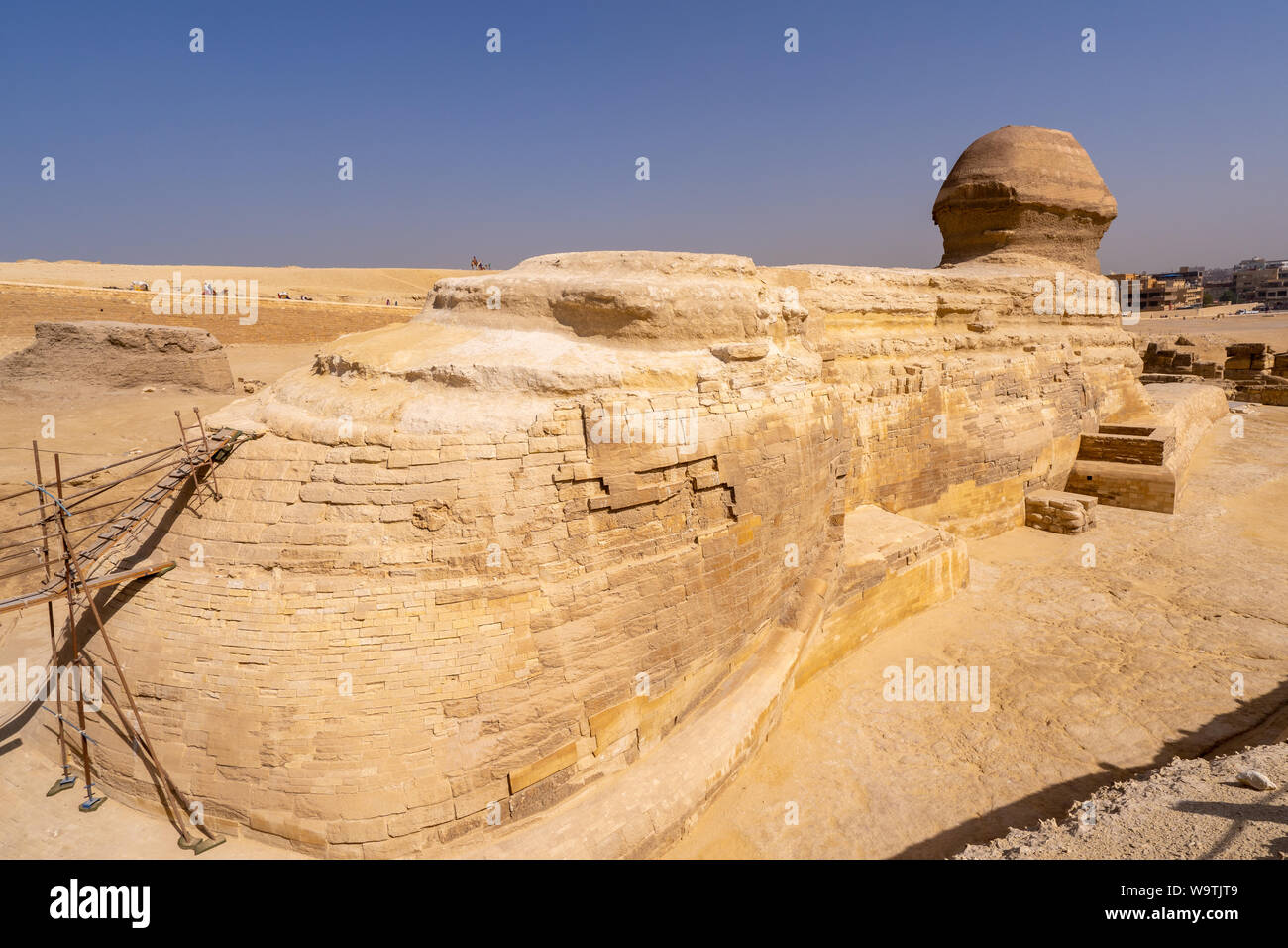 Great Sphinx of Giza from back side. Unusual view point Stock Photo - Alamy