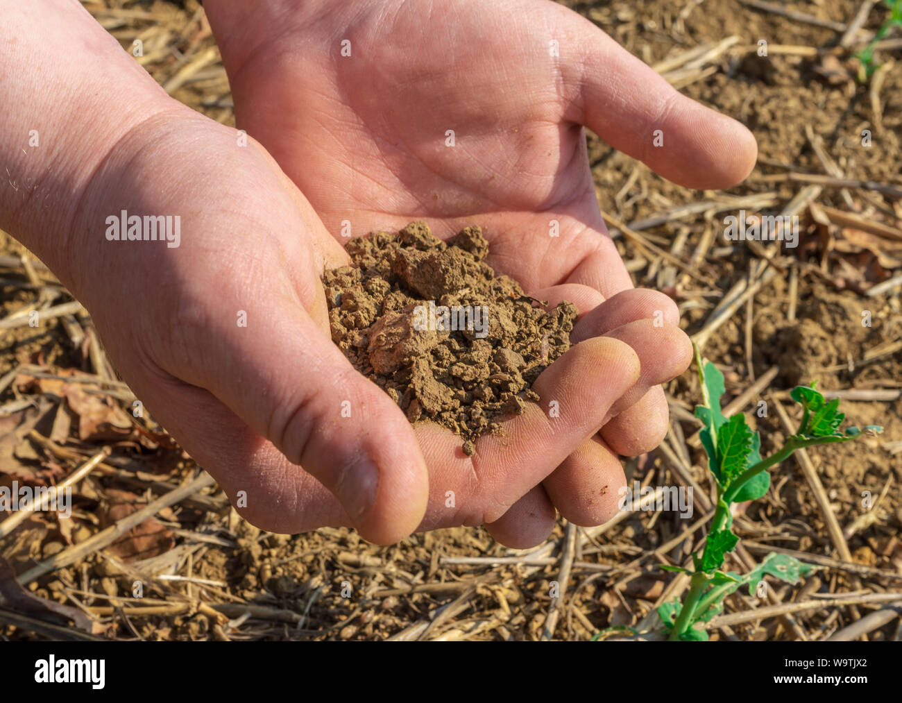 Hands holding soil hi-res stock photography and images - Alamy