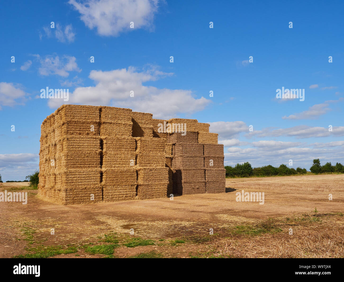 A stack of large square bale comprising of a mixture of barley and ...