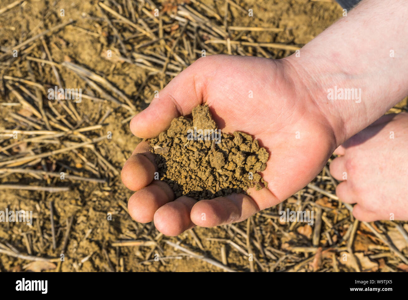 Man's hands holding soil in spring field. Close up Stock Photo - Alamy