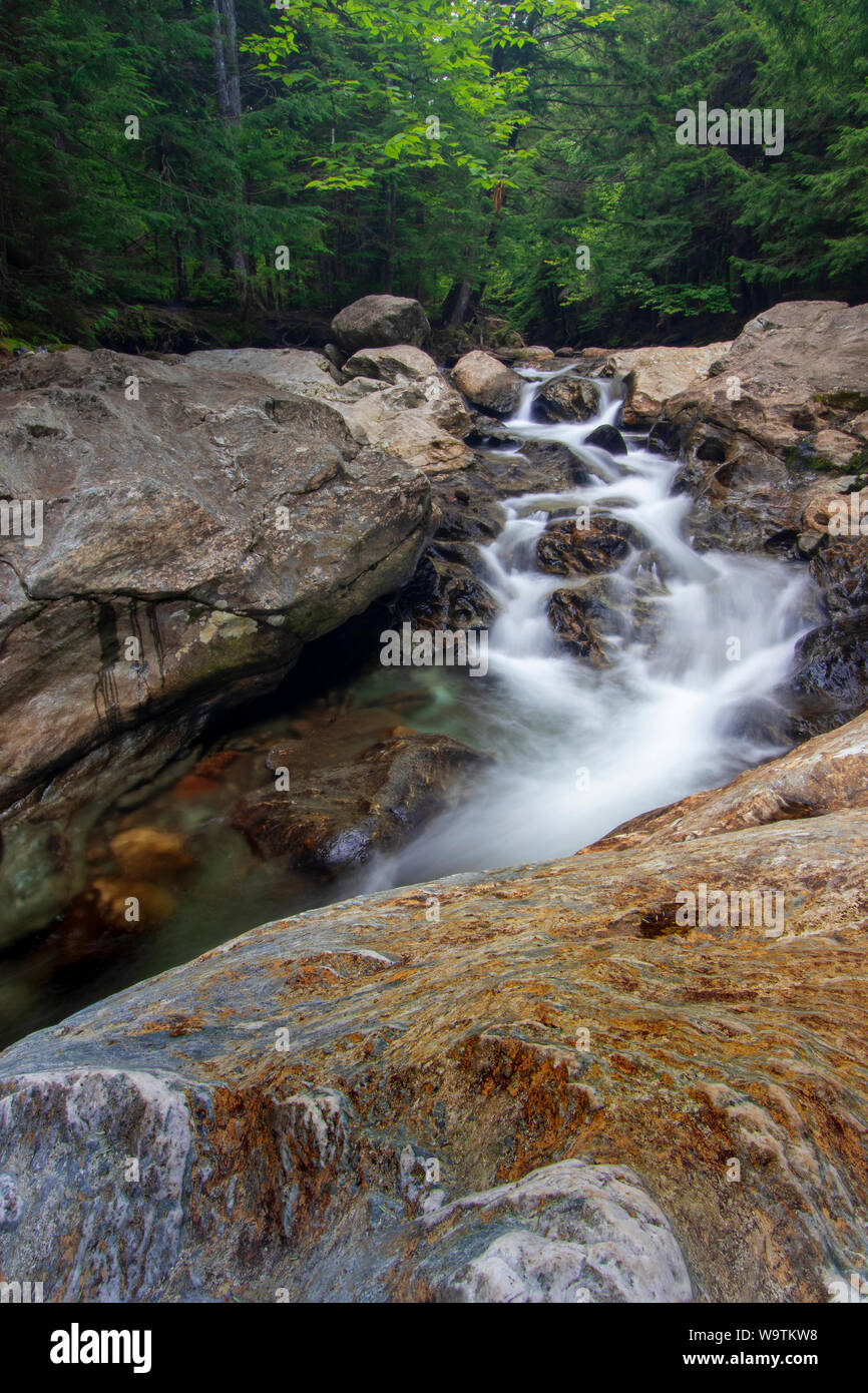 Silky smooth water flowing over rocks through the forest Stock Photo ...