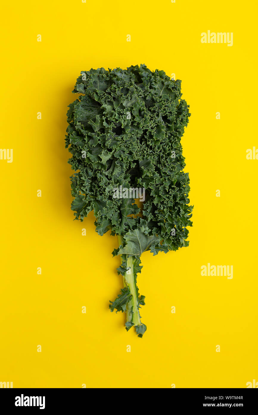 Flat lay fresh green kale on yellow background top view Stock Photo - Alamy