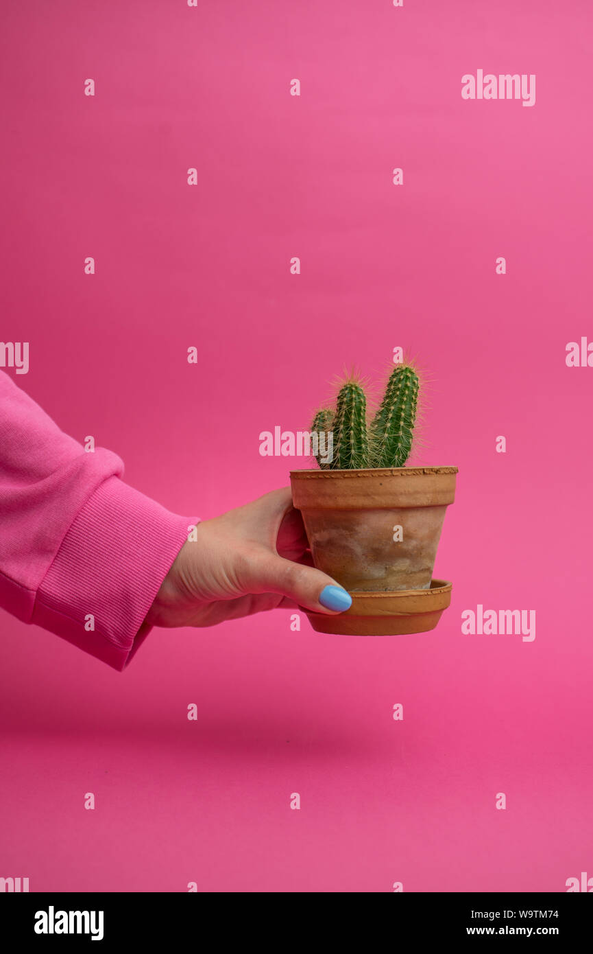 Human cactus hi-res stock photography and images - Alamy