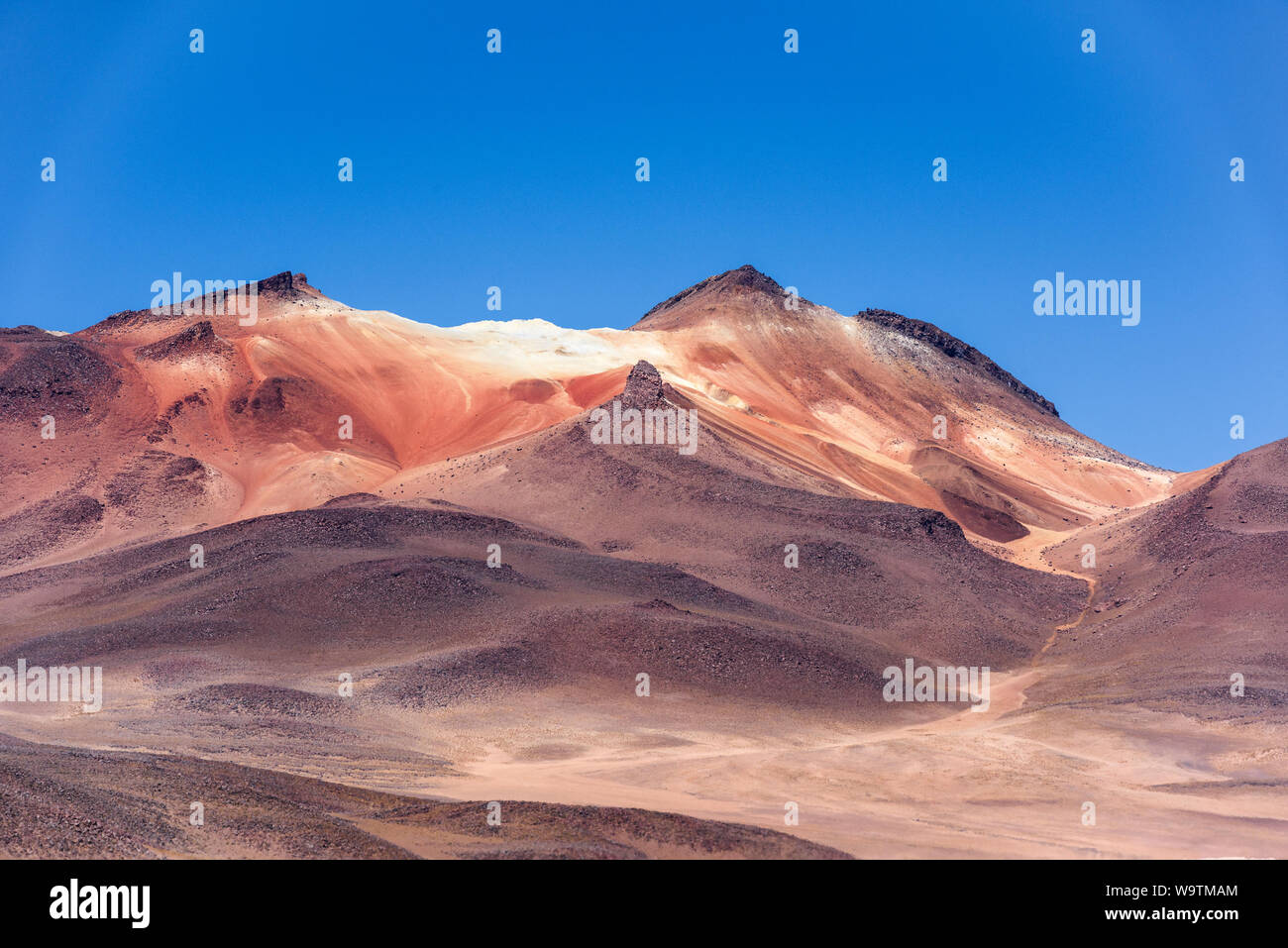 Altiplano bolivia hi-res stock photography and images - Alamy