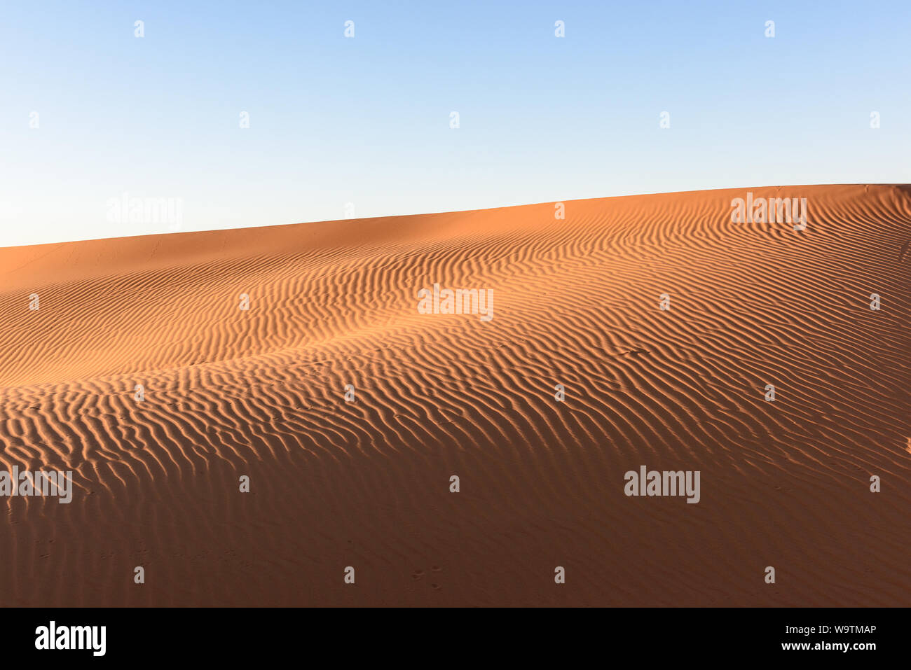 Sahara desert sand close up hi-res stock photography and images - Alamy