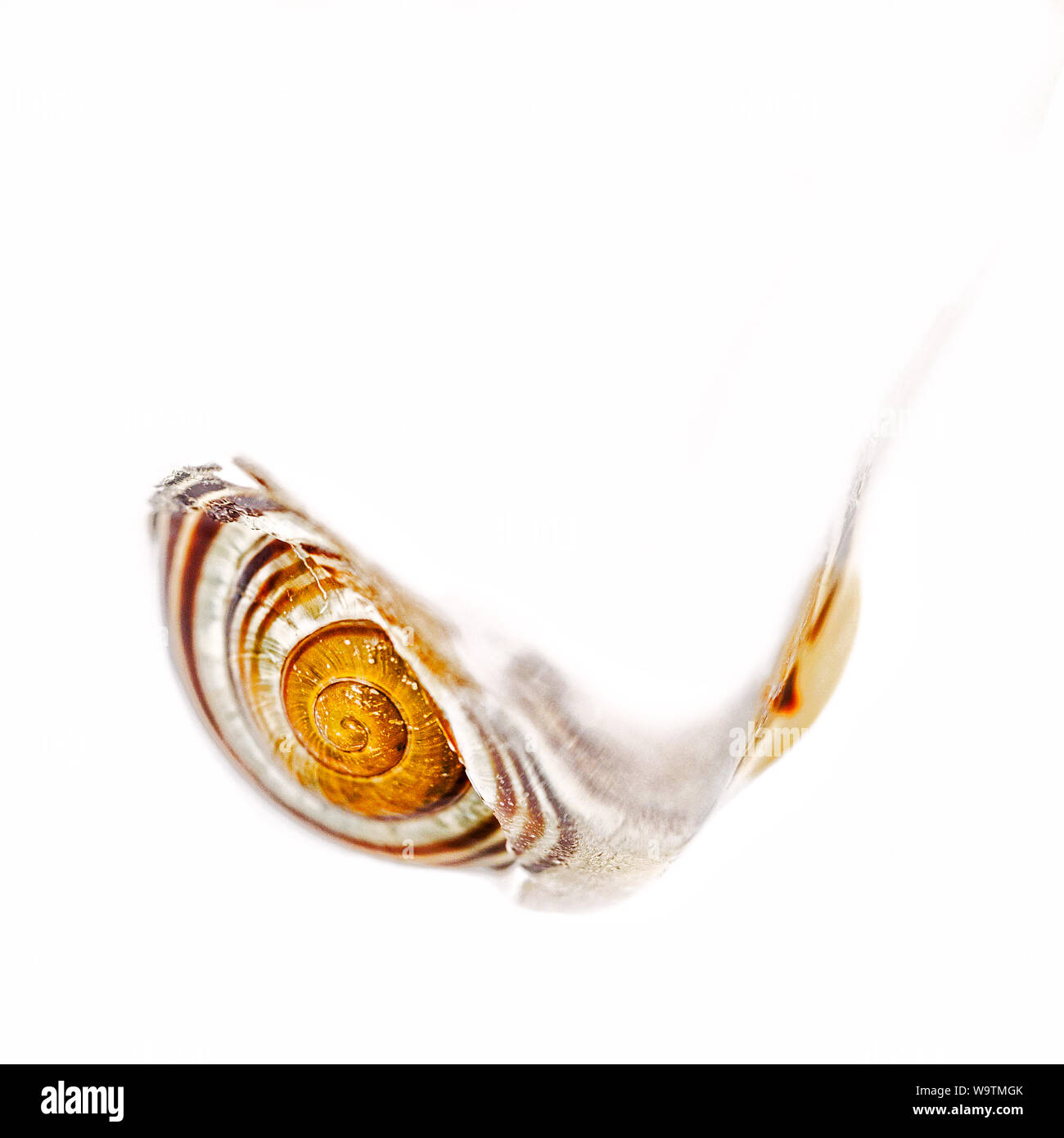 House frozen ice Cut Out Stock Images & Pictures - Alamy