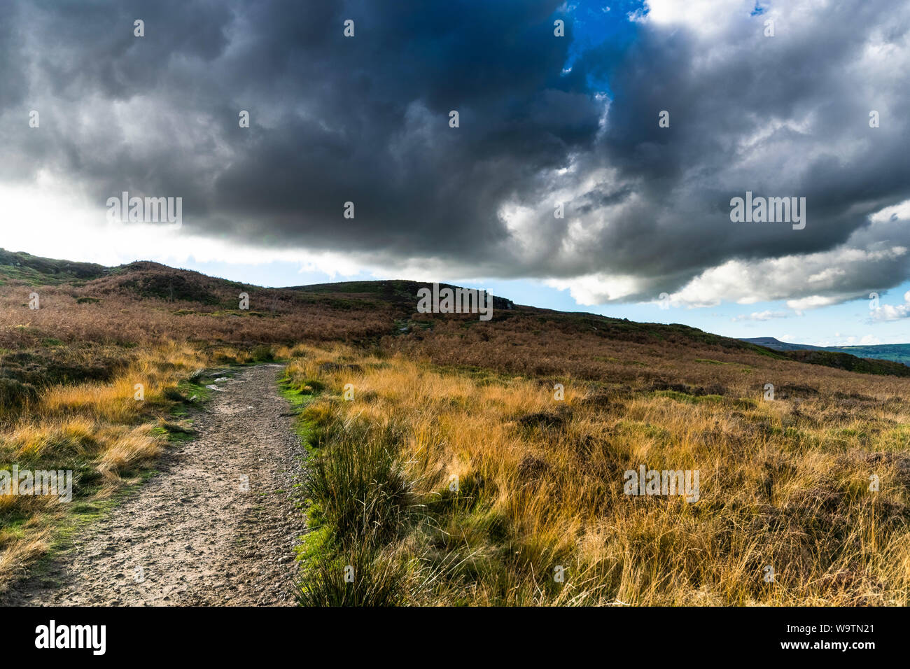 Heather moorland path track hi-res stock photography and images - Alamy
