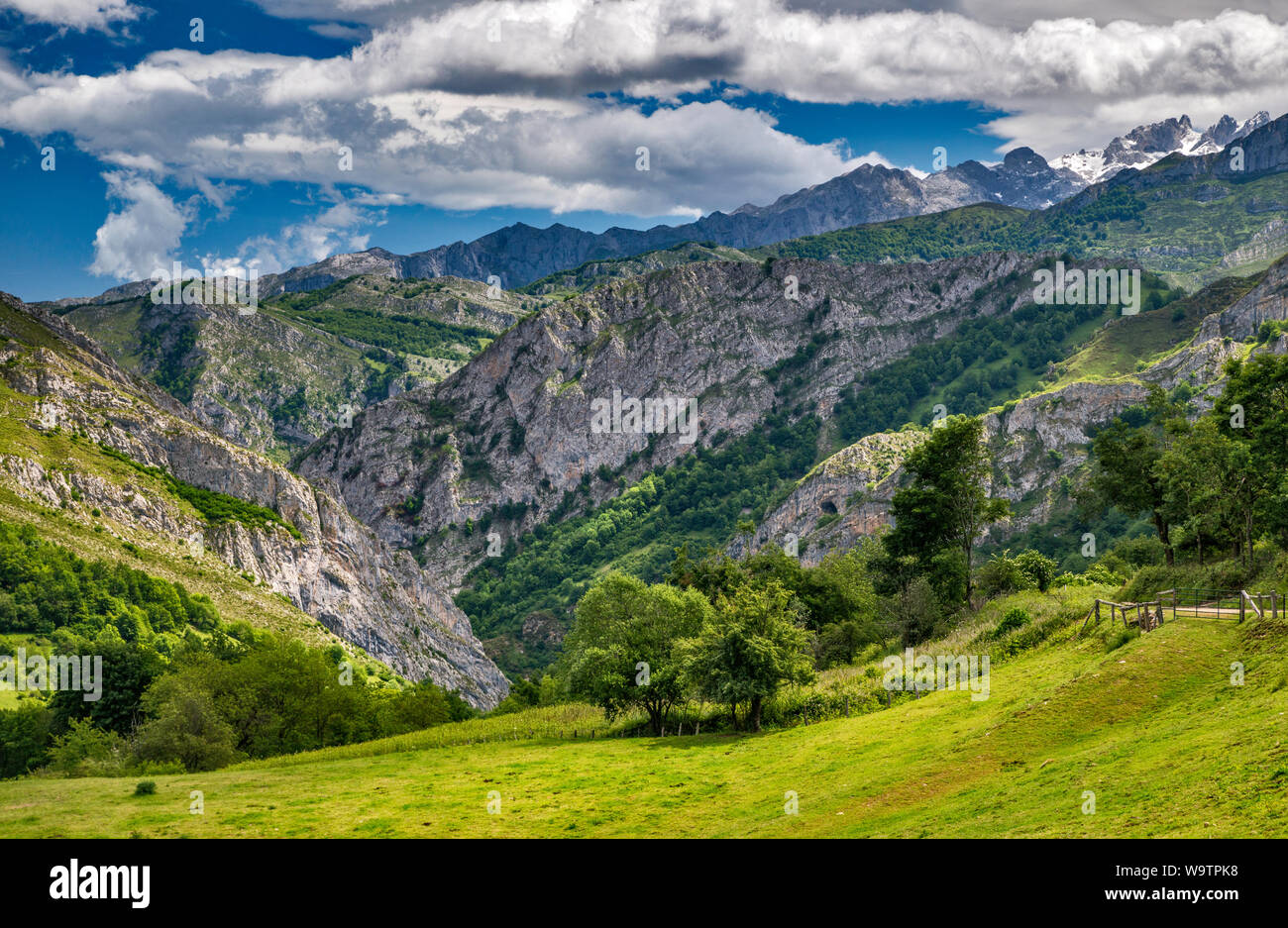 Parque natural de el ponga hi-res stock photography and images - Alamy