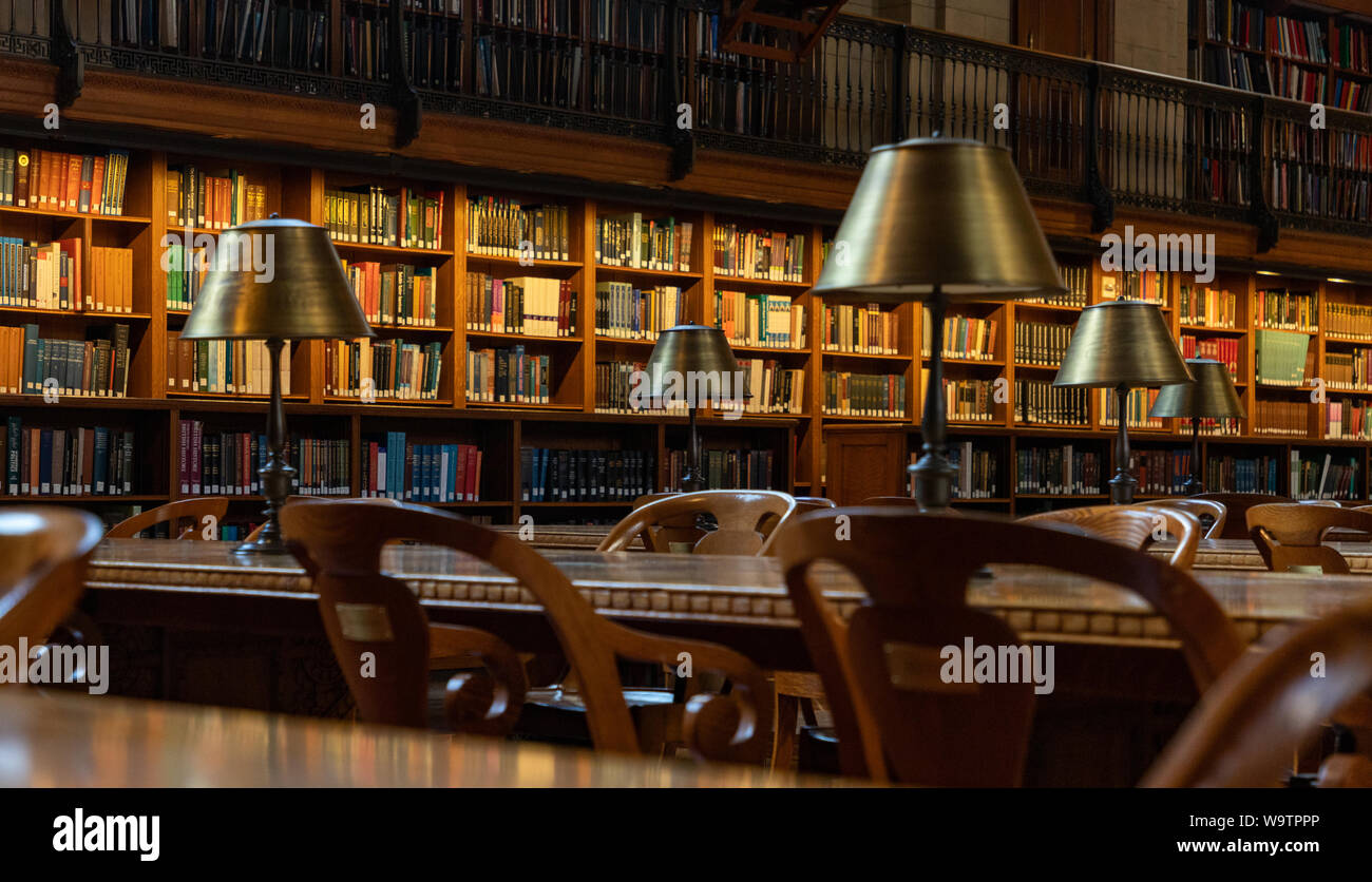 A picture of the main reading hall of the New York Public Library Stock ...