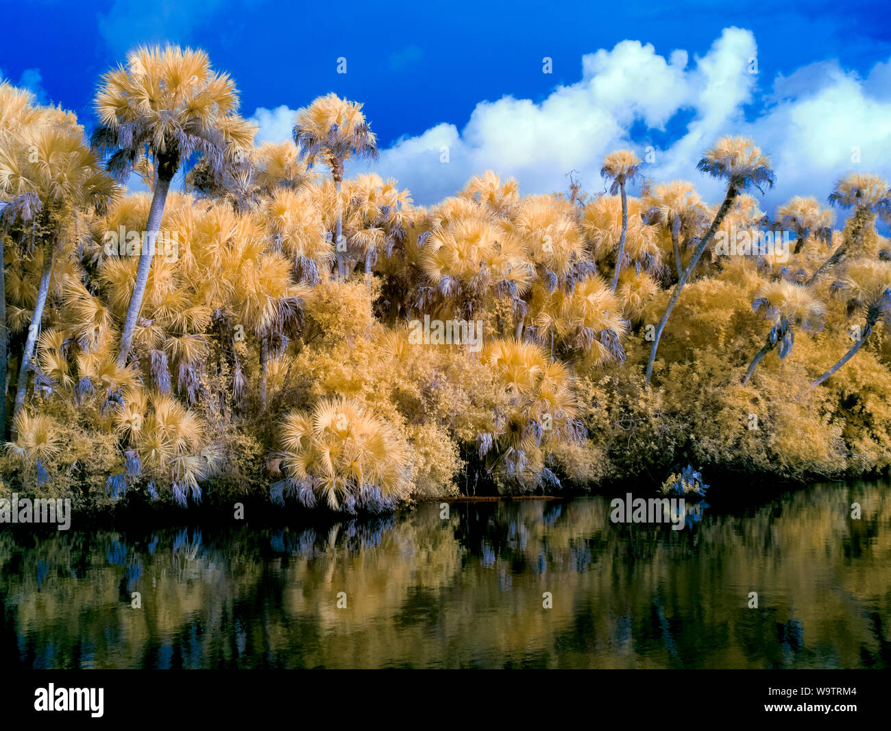 False River High Resolution Stock Photography and Images - Alamy