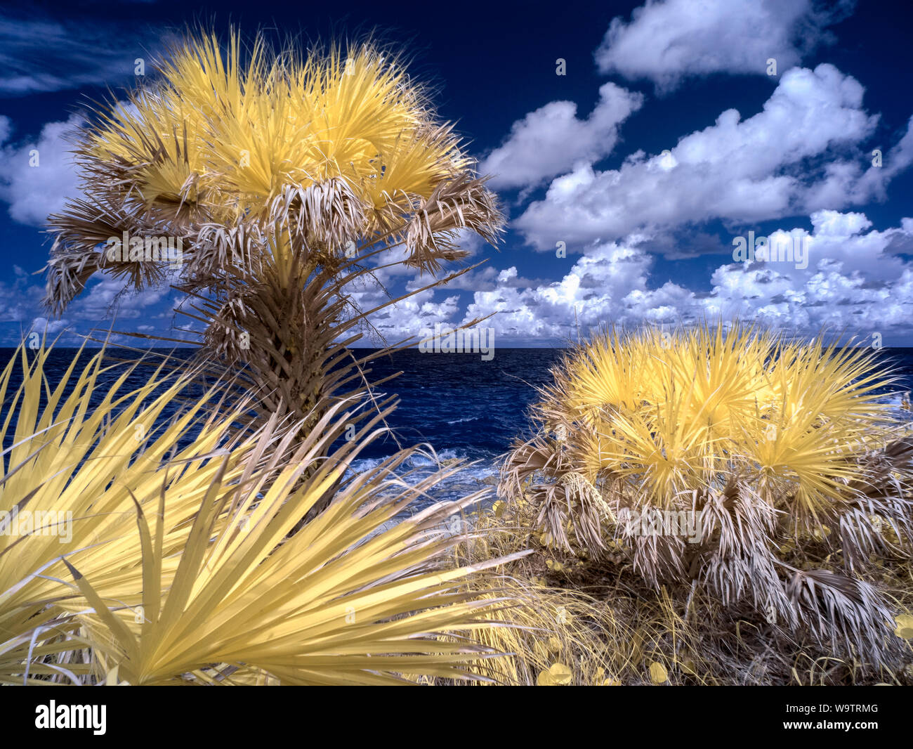 Red yellow blue color colors hi-res stock photography and images - Alamy