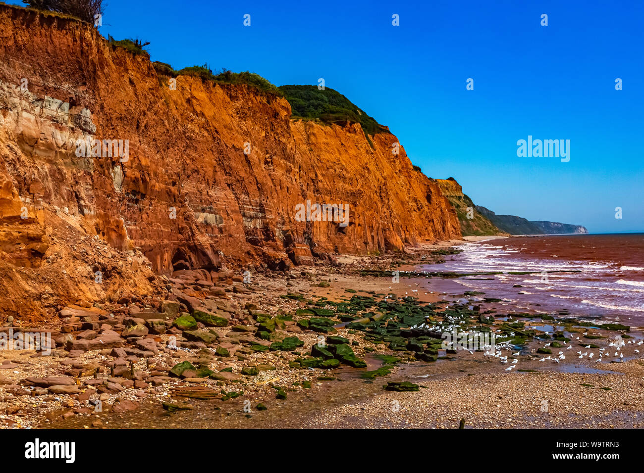 Rock face and beach at Sidmouth in Devon Stock Photo - Alamy