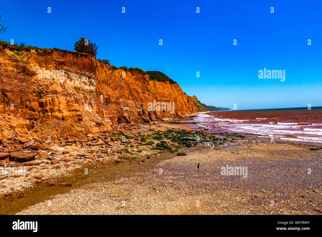 Rock face and beach at Sidmouth in Devon Stock Photo - Alamy