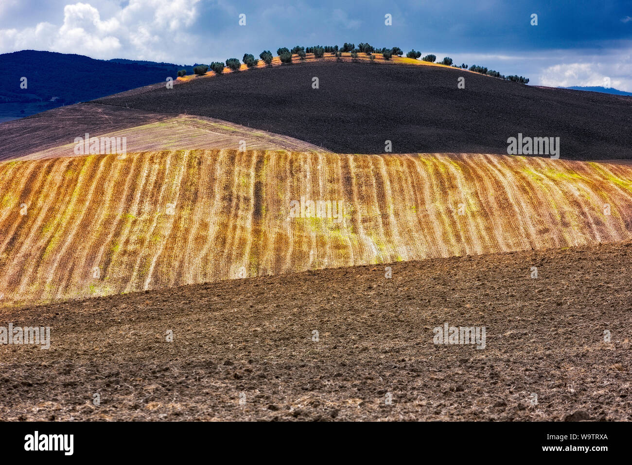 Abstract Tuscan field shapes textures and colours Stock Photo - Alamy