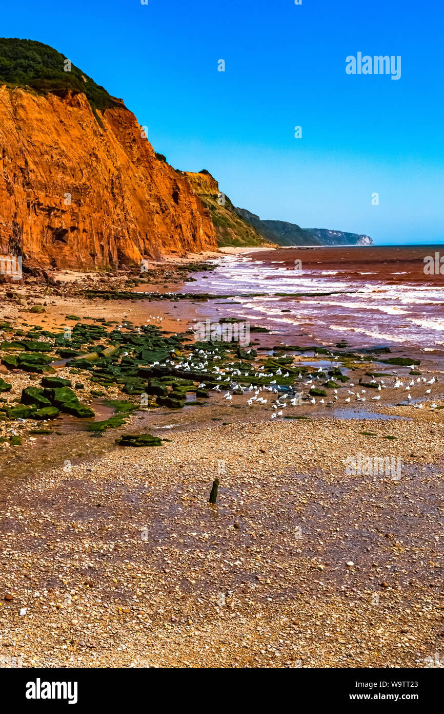 Rock face and beach at Sidmouth in Devon Stock Photo - Alamy