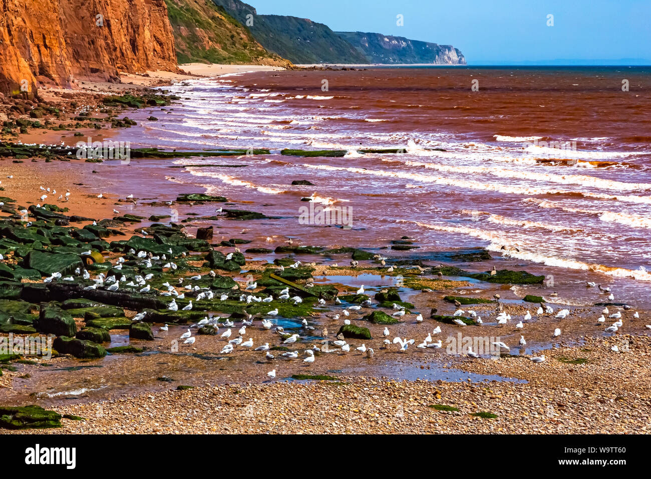 Rock face and beach at Sidmouth in Devon Stock Photo - Alamy