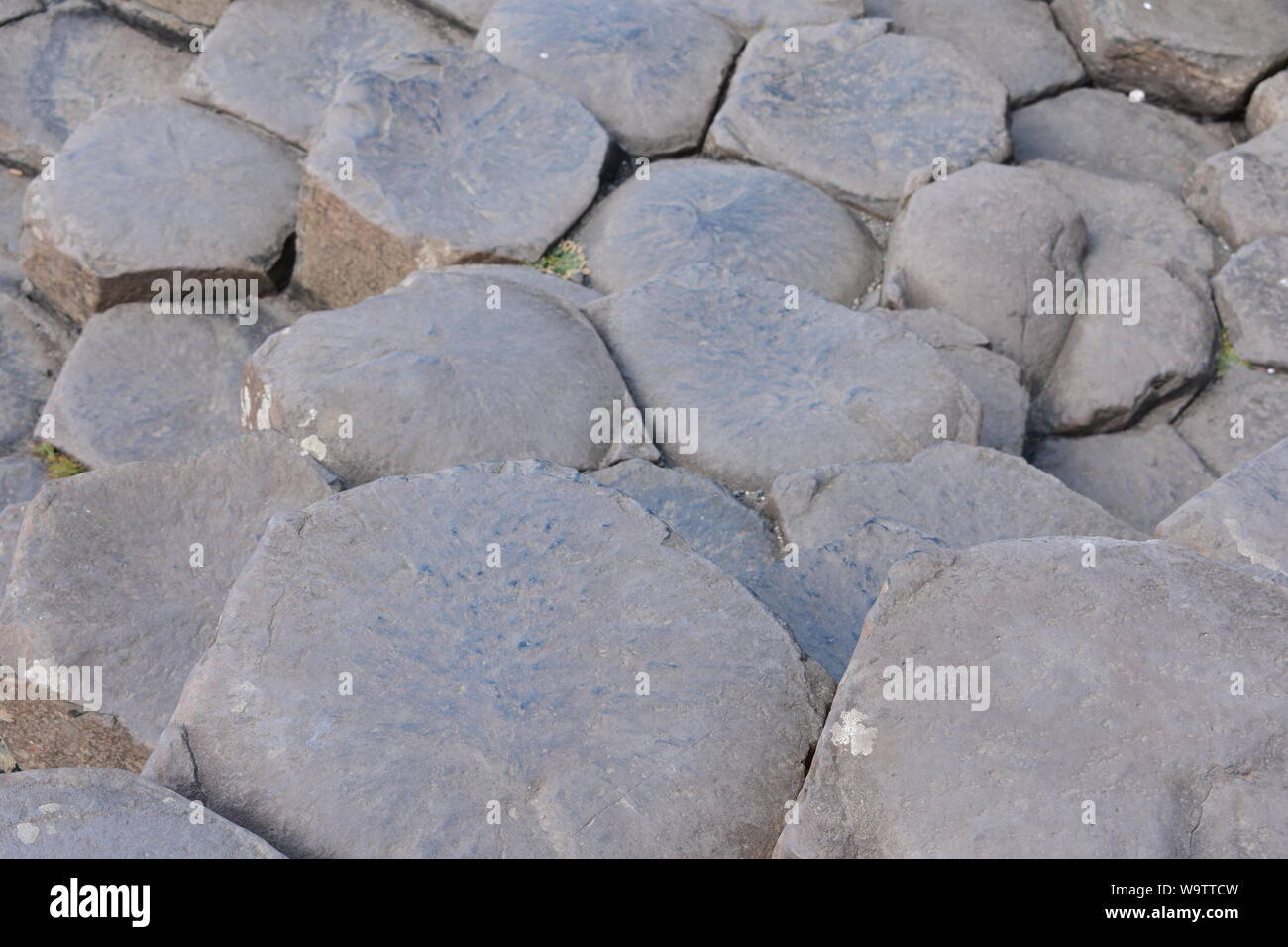 Basalt Rocks at Giant's Causeway Stock Photo - Alamy
