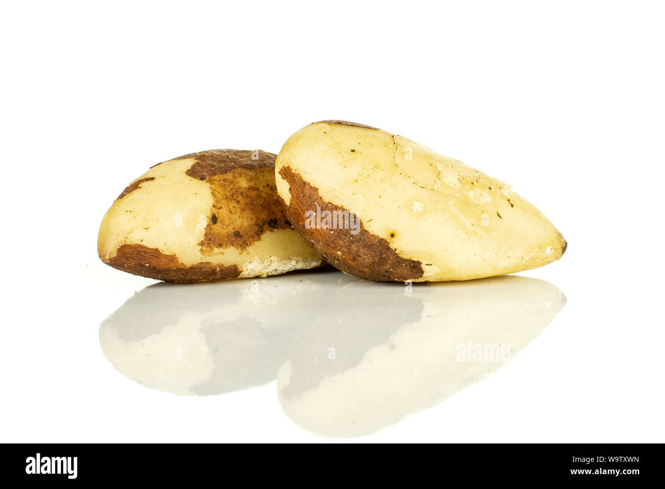 Group of two whole unshelled brazil nut isolated on white background ...