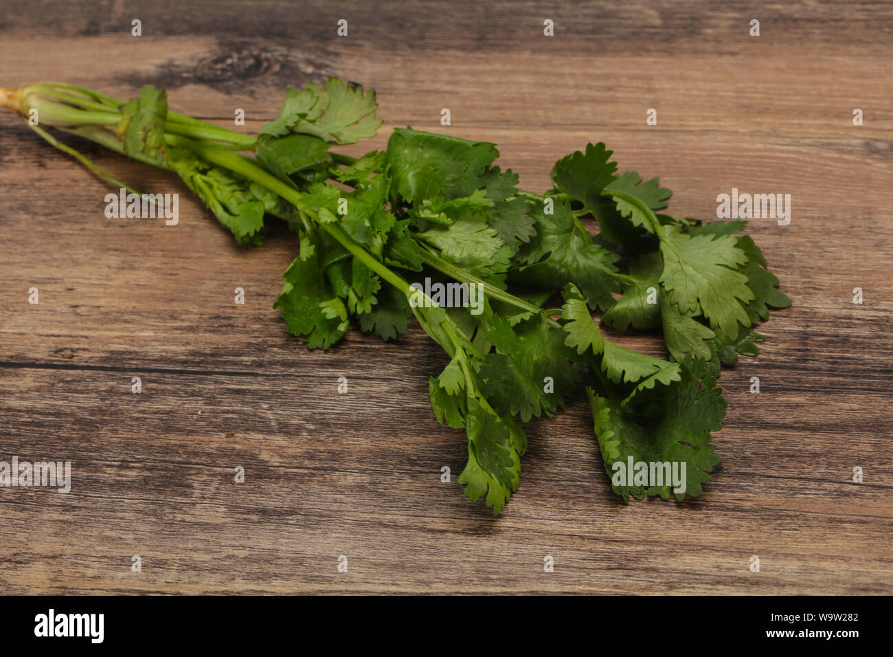 Fresh ripe Green cilantro leaves spice Stock Photo - Alamy