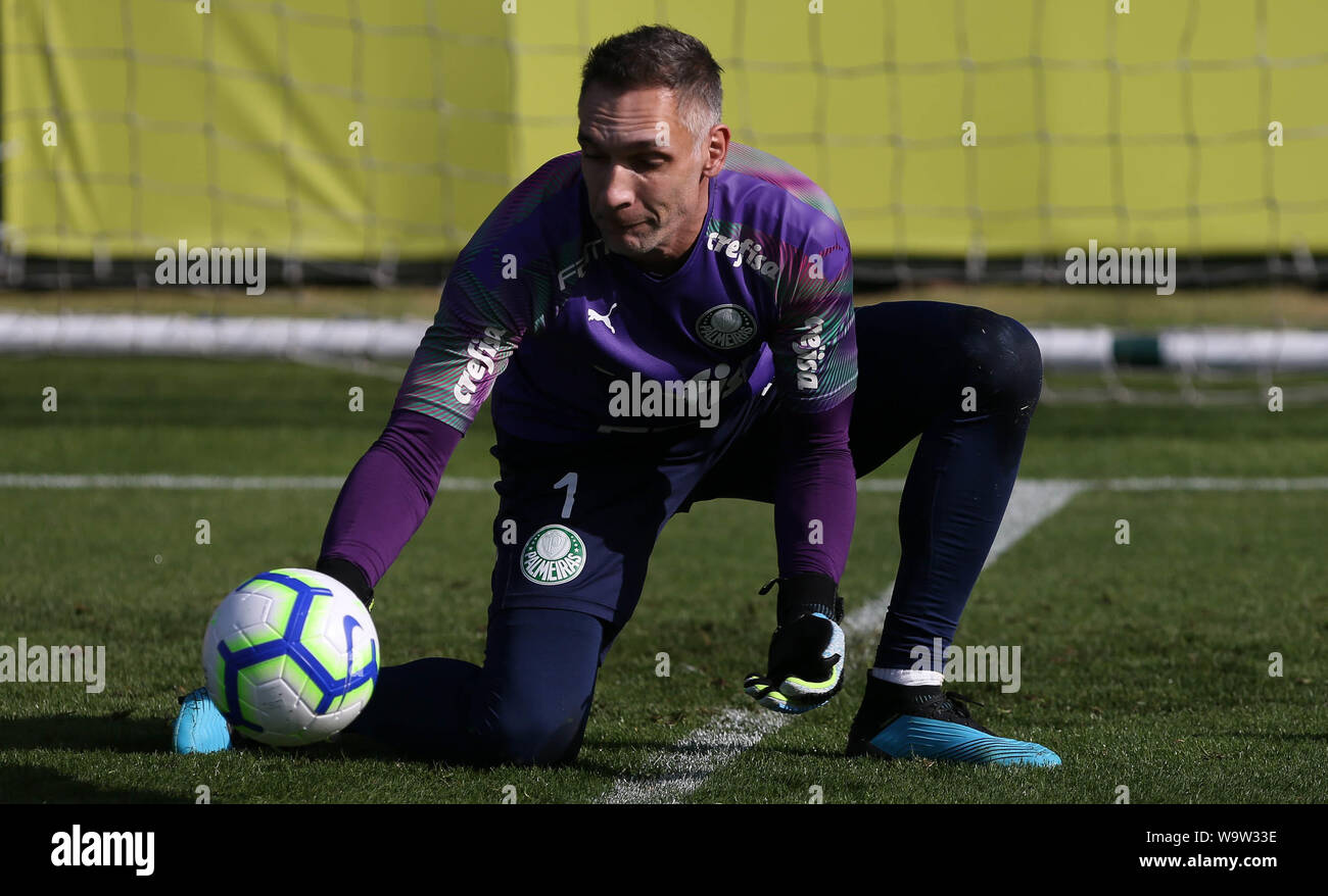 Sao Paulo, Brazil. 15th Aug, 2019. Goalkeeper Fernando Prass of SE ...