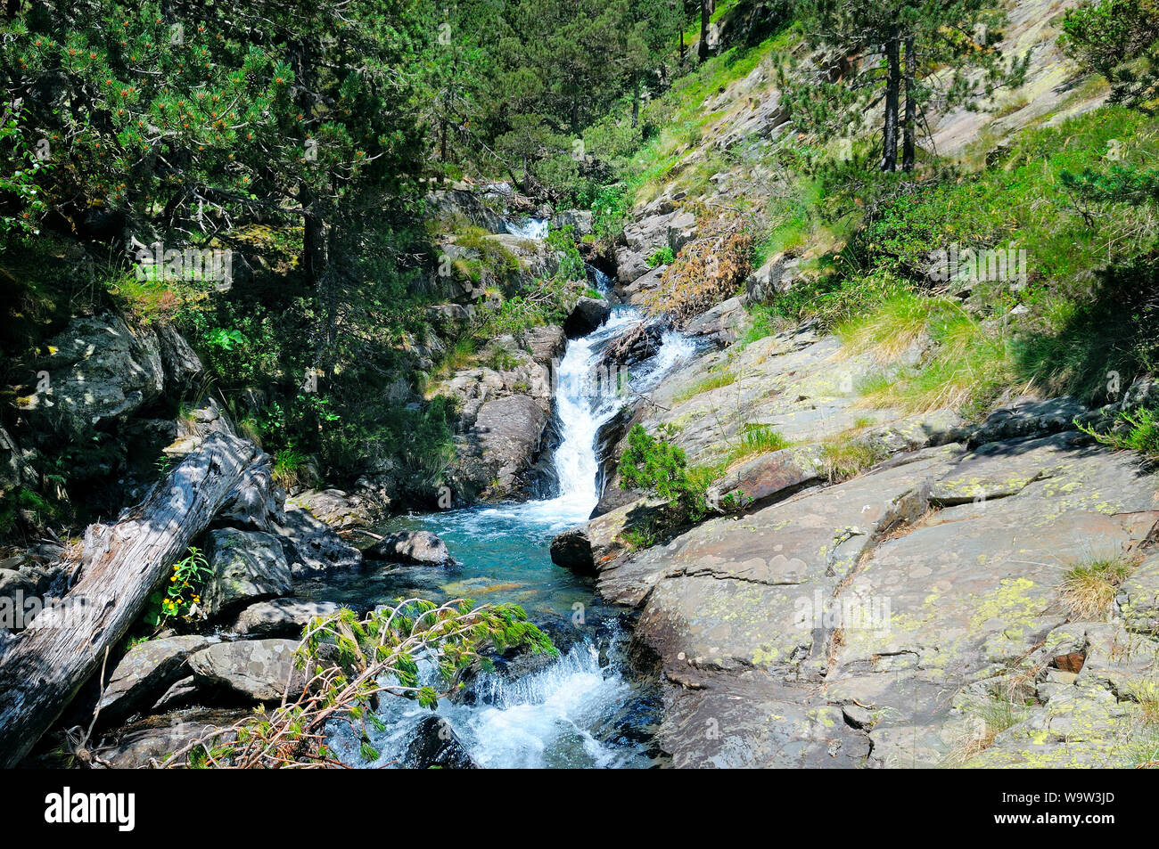 Outdoors autumn creek environment is wet in summer hi-res stock ...