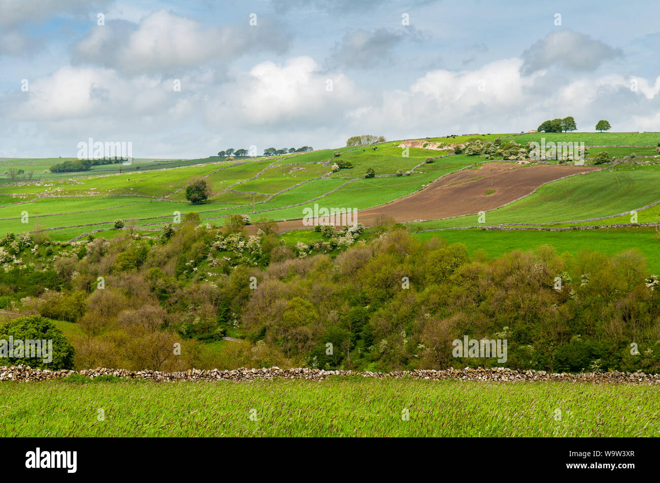 Hay dale peak district hi-res stock photography and images - Alamy