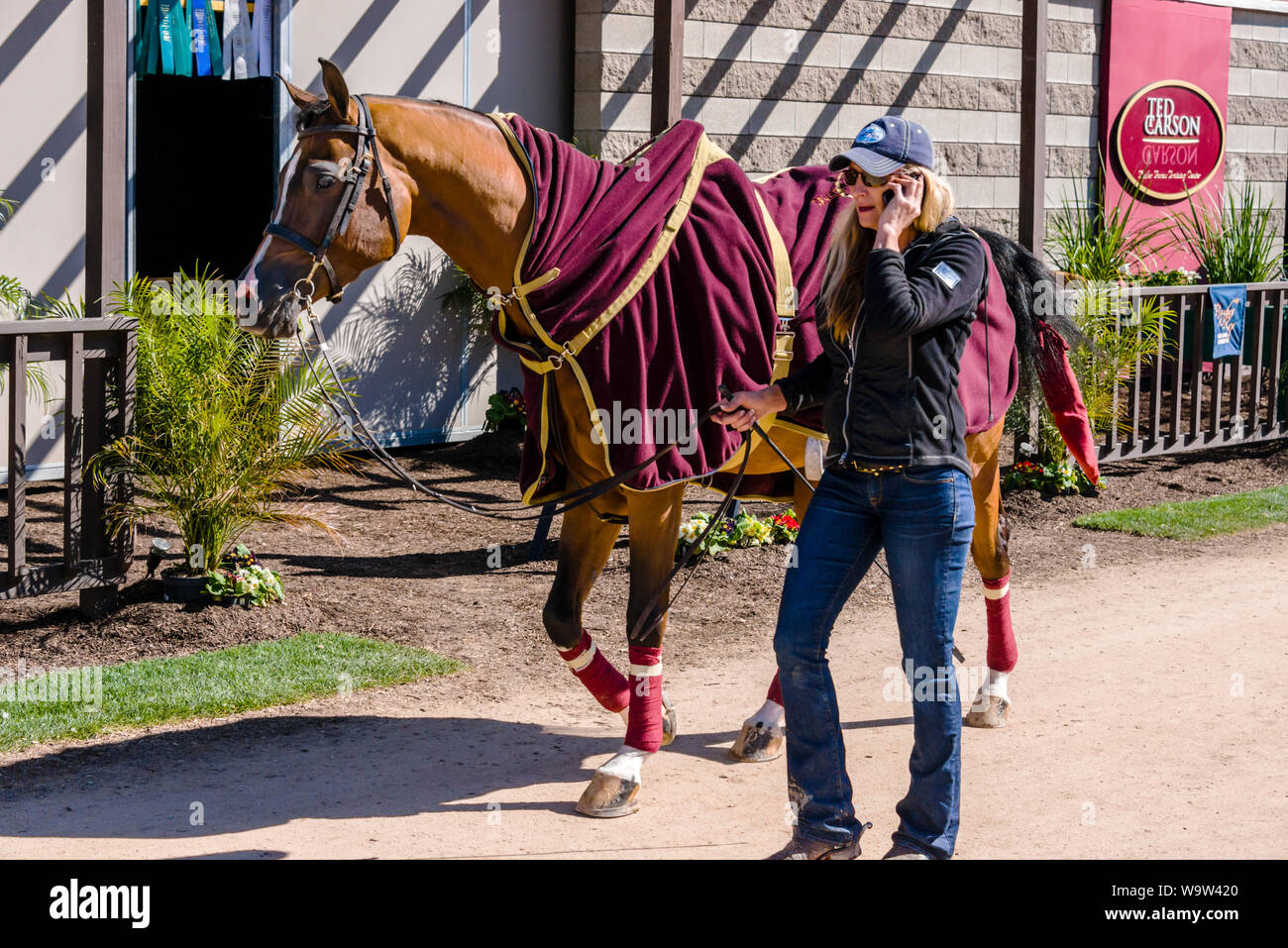 Walking a horse hi-res stock photography and images - Alamy