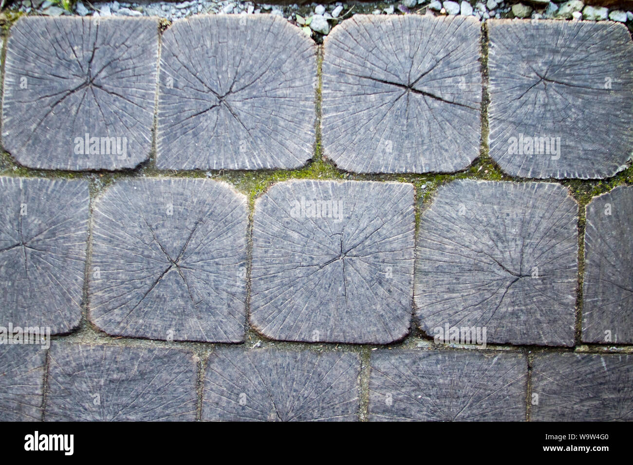 Sidewalk or park path made of wooden slices, backdrop with wood texture ...