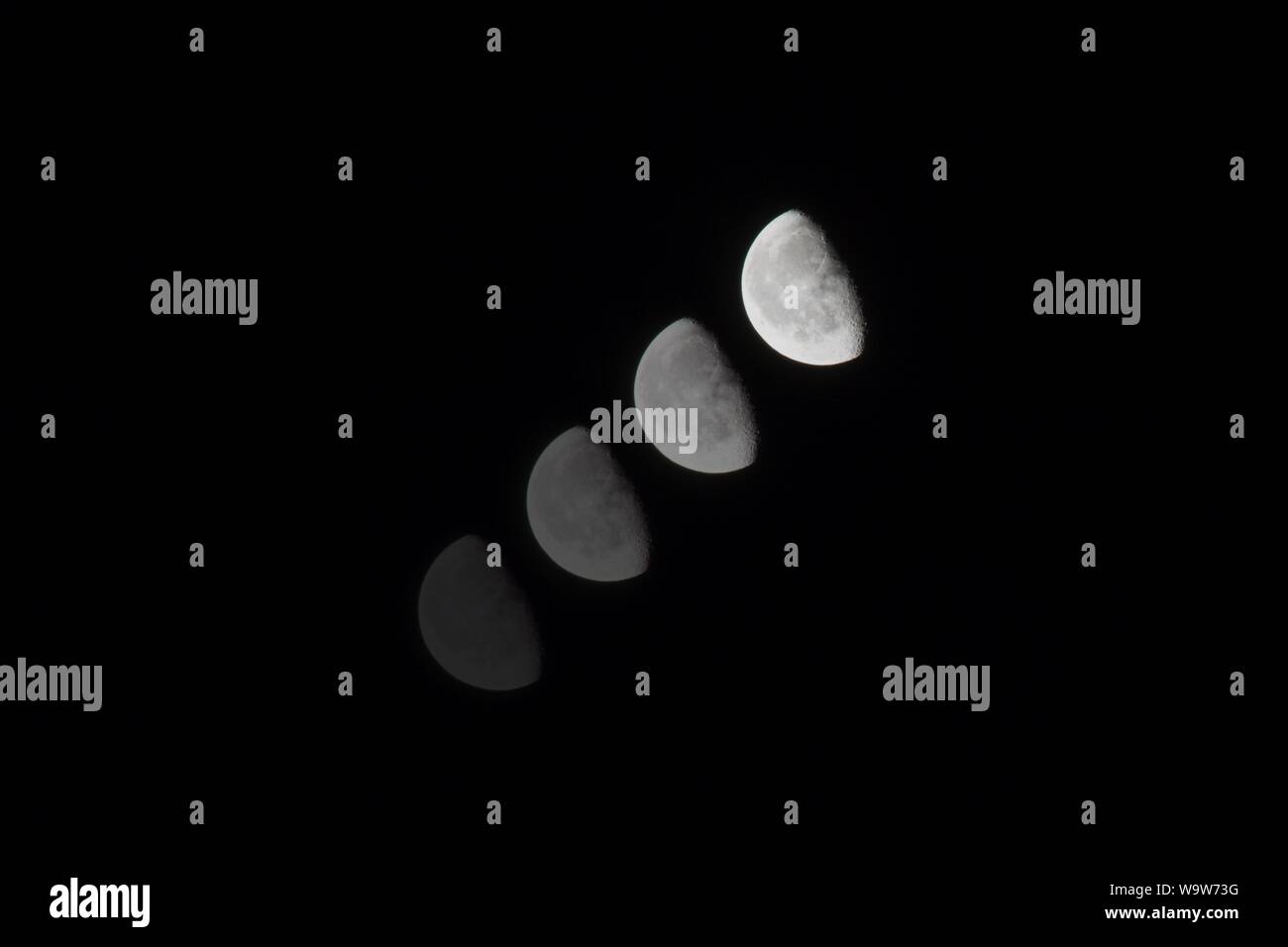 White wolf luna hi-res stock photography and images - Alamy