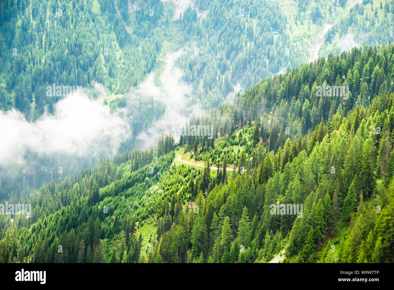 Alps tree mountain mountains hi-res stock photography and images - Alamy